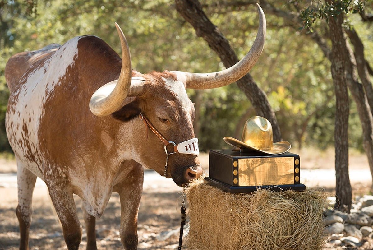 The Road to Bevo -Folklore and Fables - Texas Legacy Support Network